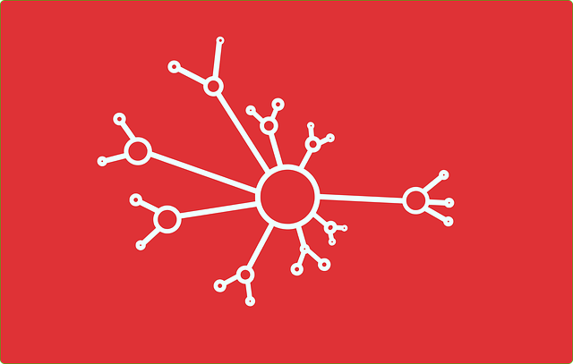 Neurons Brain Cells - Free vector graphic on Pixabay