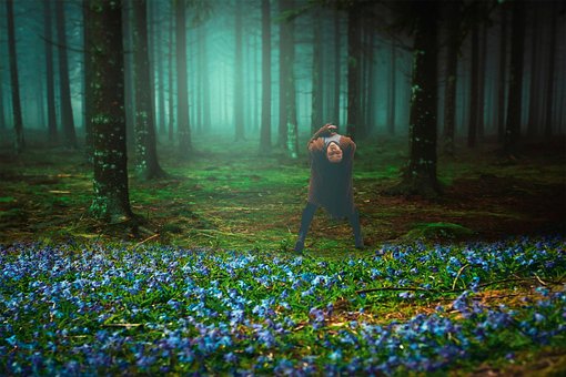 Más de 40 imágenes gratis de Bosque De Terror y Terror - Pixabay