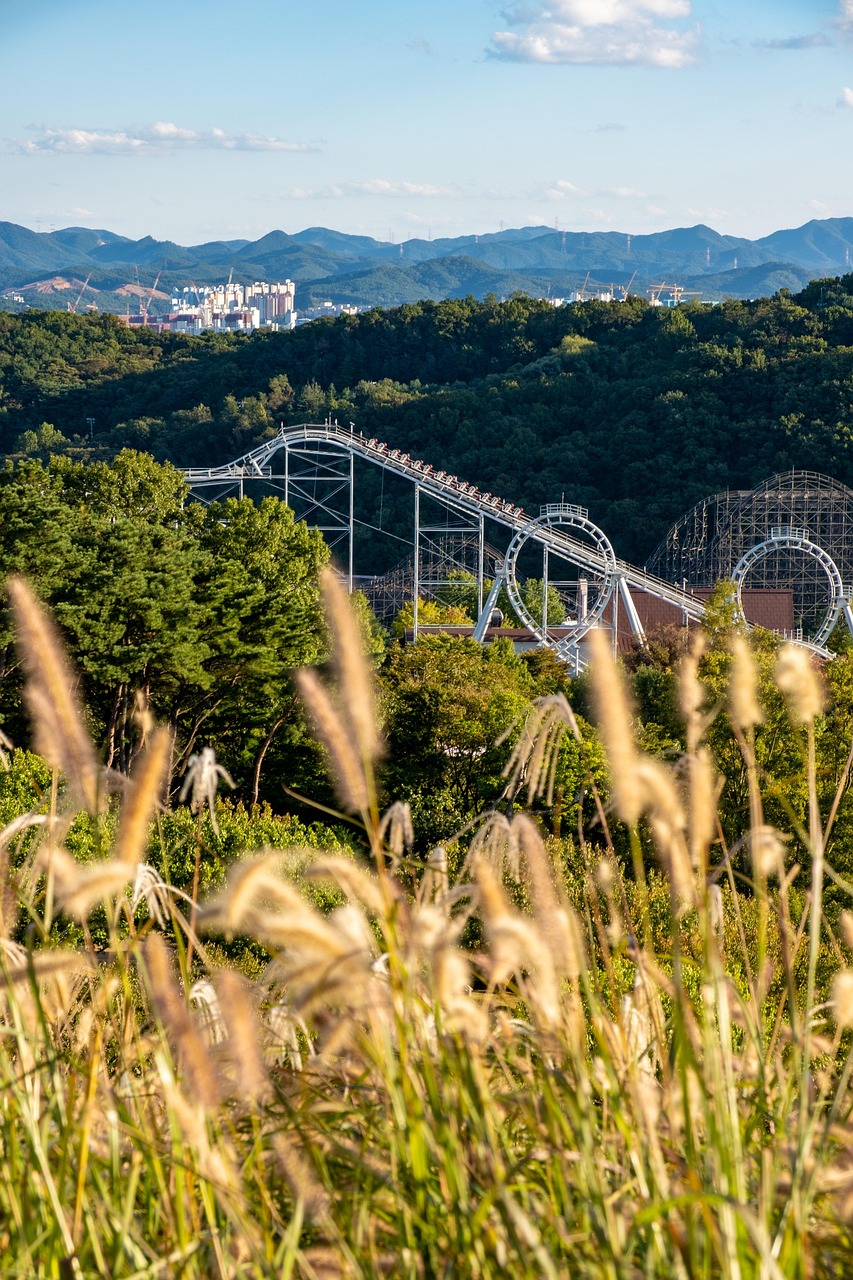 Silver Grass Theme Park Everland - Free photo on Pixabay - Pixabay