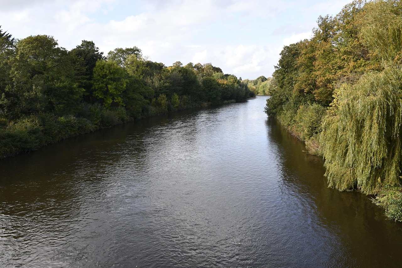Fleuve Des Arbres Paysage - Photo gratuite sur Pixabay - Pixabay