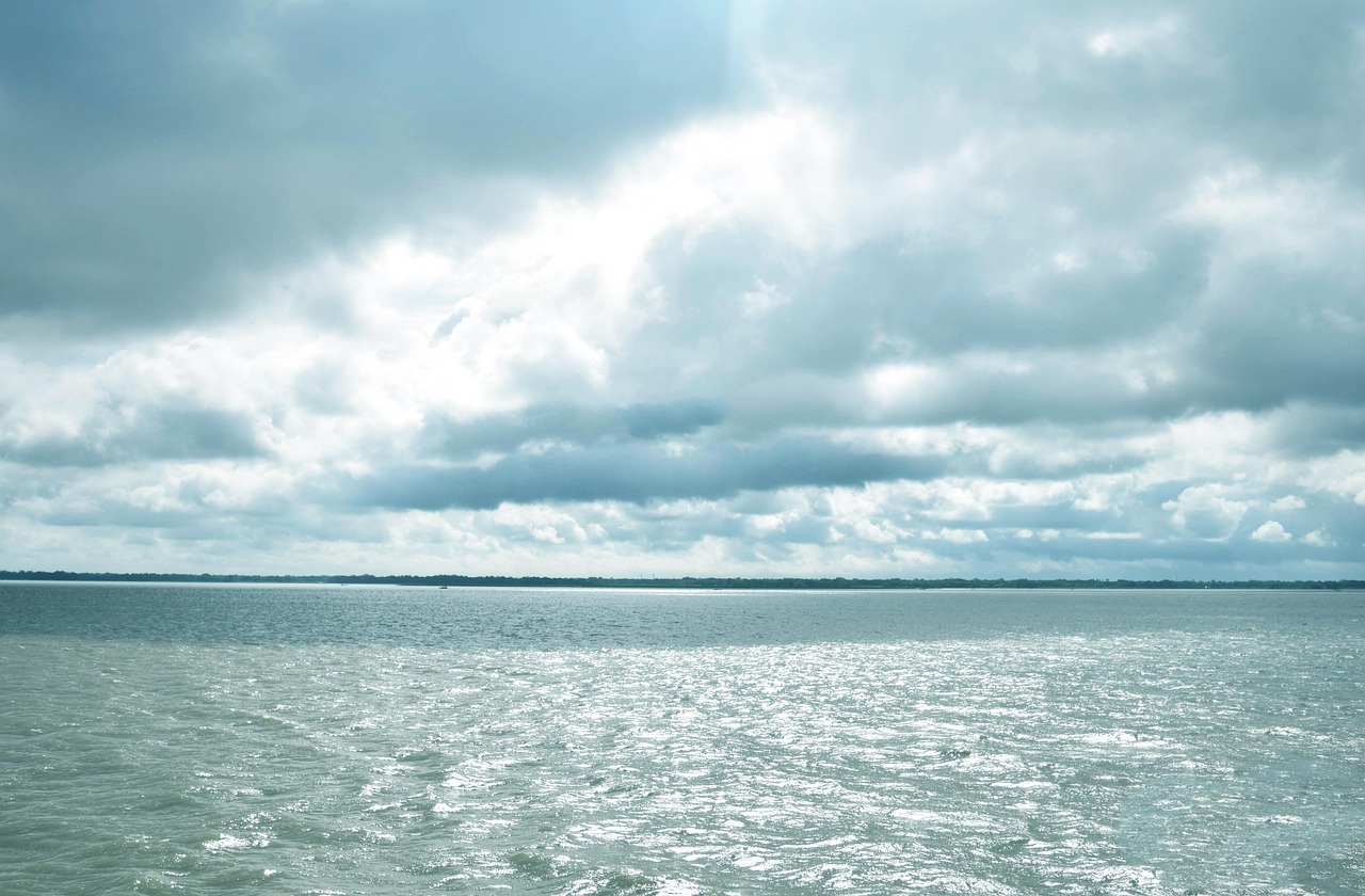 River Nature Water - Free photo on Pixabay