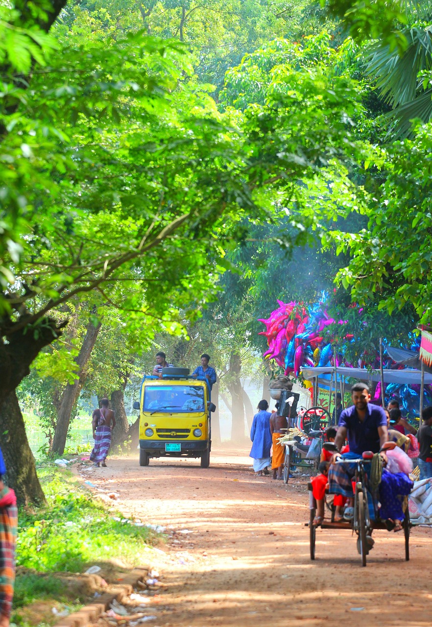 Nature Tree Street - Free photo on Pixabay - Pixabay