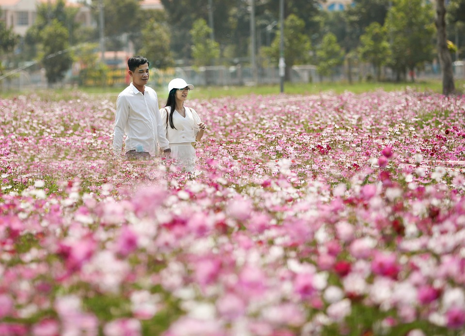 Couple Lovers Flowers - Free photo on Pixabay