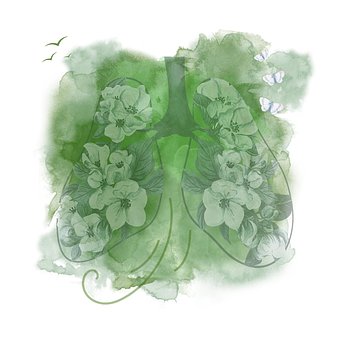 Plus de 7 illustrations gratuites de Prenez Une Respiration et de ...