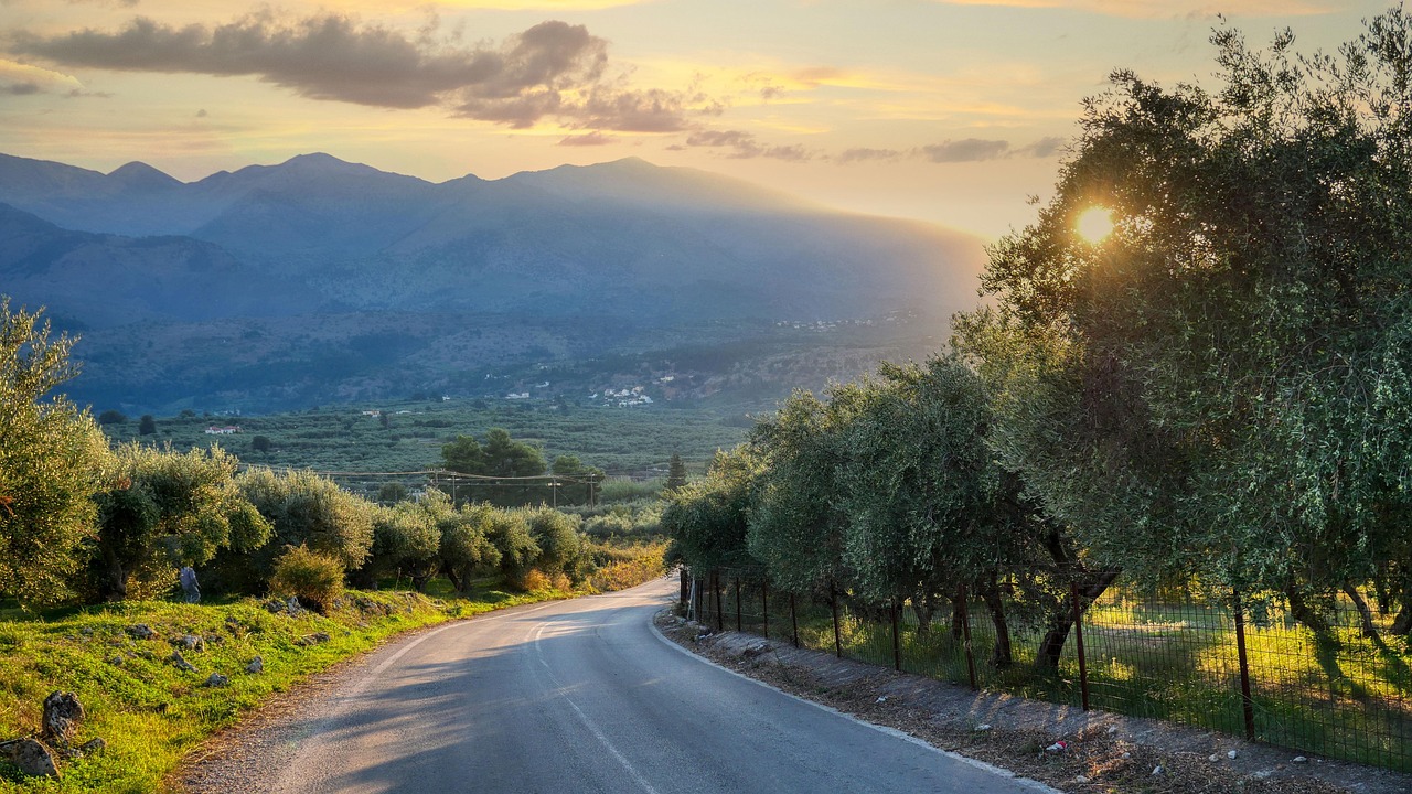 Road Curve Trees Evening - Free photo on Pixabay - Pixabay