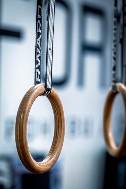Fitness Rings Training Crossfit - Free photo on Pixabay