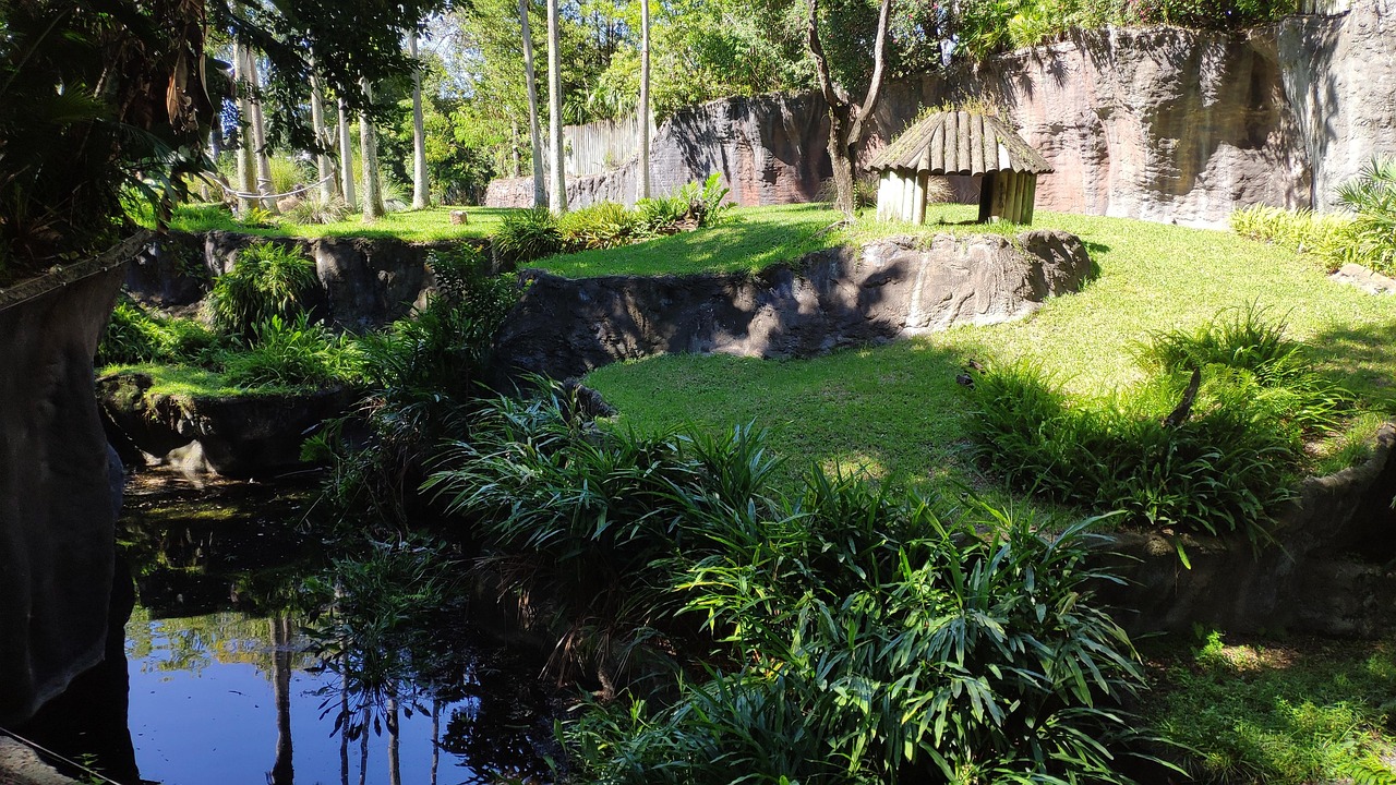 Bush Garden Tampa 01 10 2022 - Free photo on Pixabay - Pixabay