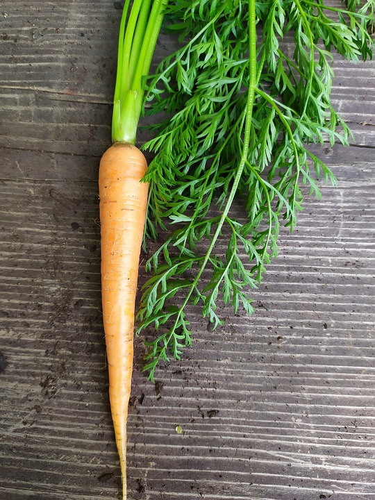 Carrot Vegetables Healthy - Free photo on Pixabay