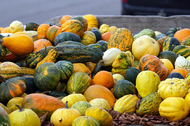Pumpkins Gourds Harvest - Free photo on Pixabay