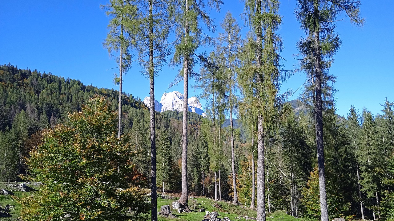 Montagne Paesaggio Nature - Photo gratuite sur Pixabay - Pixabay