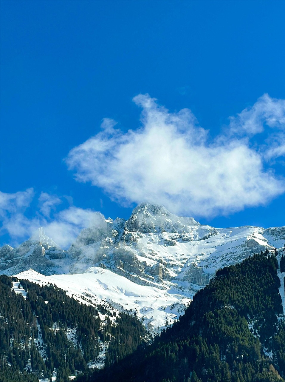 Montagne Neige Des Arbres - Photo gratuite sur Pixabay - Pixabay