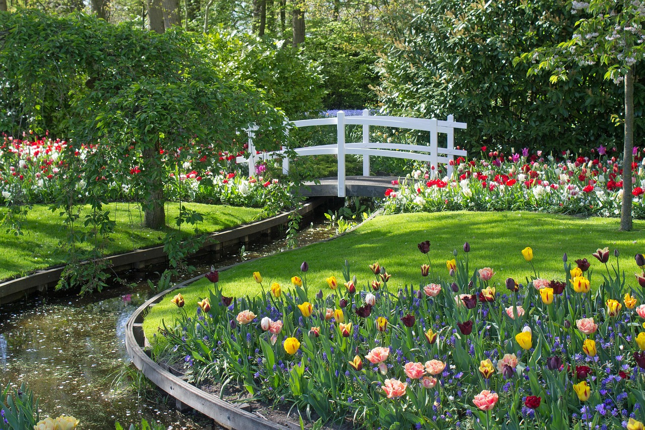 Hábitat Jardín El Verano - Foto gratis en Pixabay - Pixabay