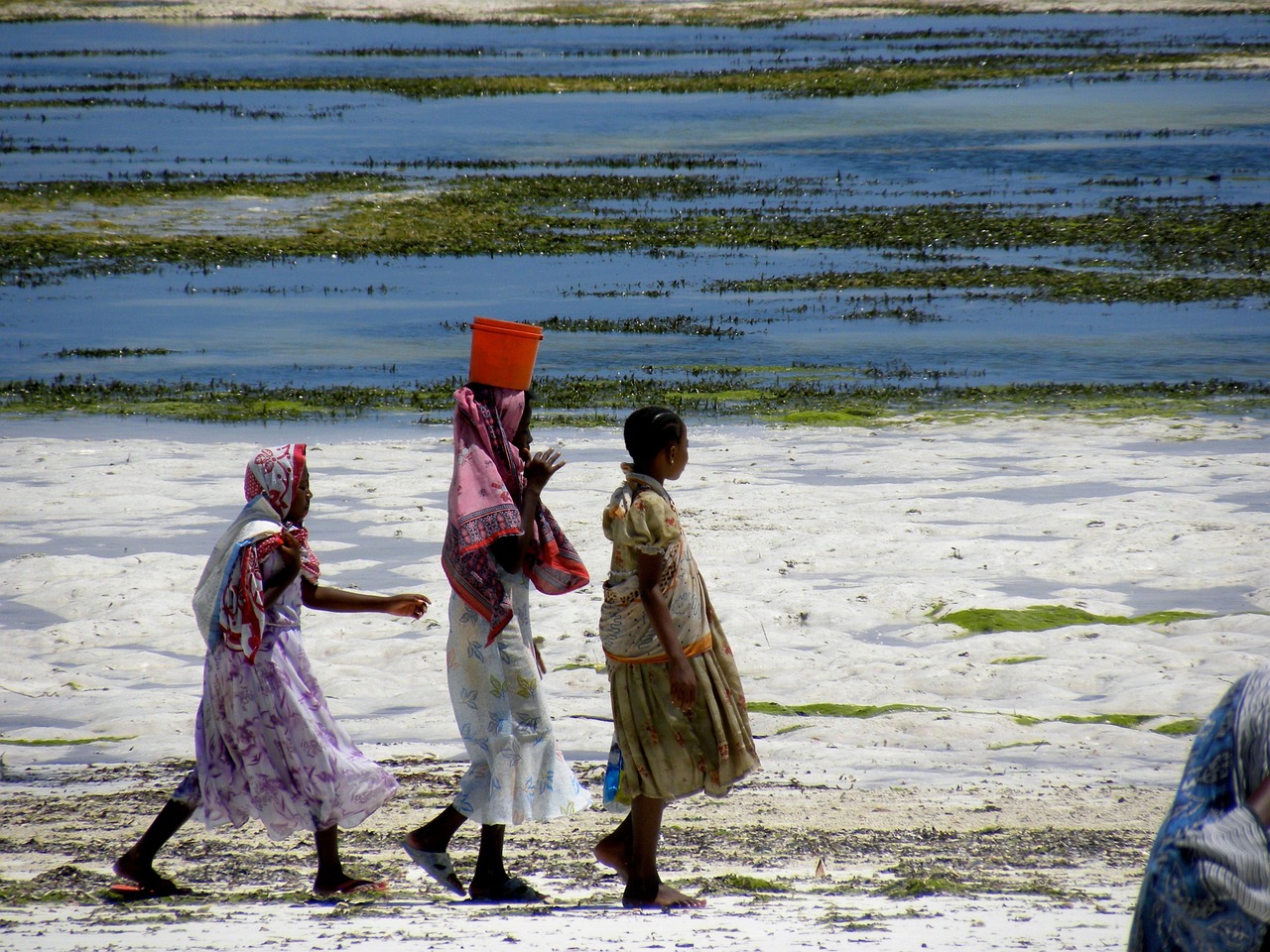 Zanzibar Beach Color - Free photo on Pixabay