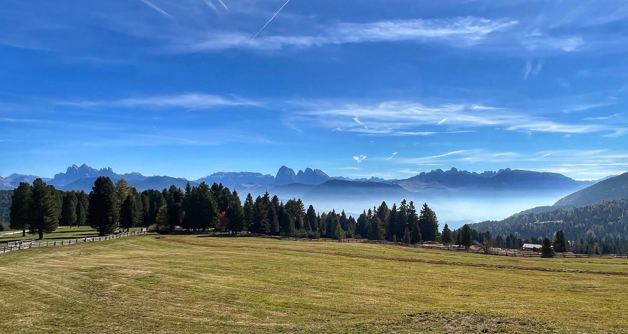 South Tyrol Field Nature - Free photo on Pixabay