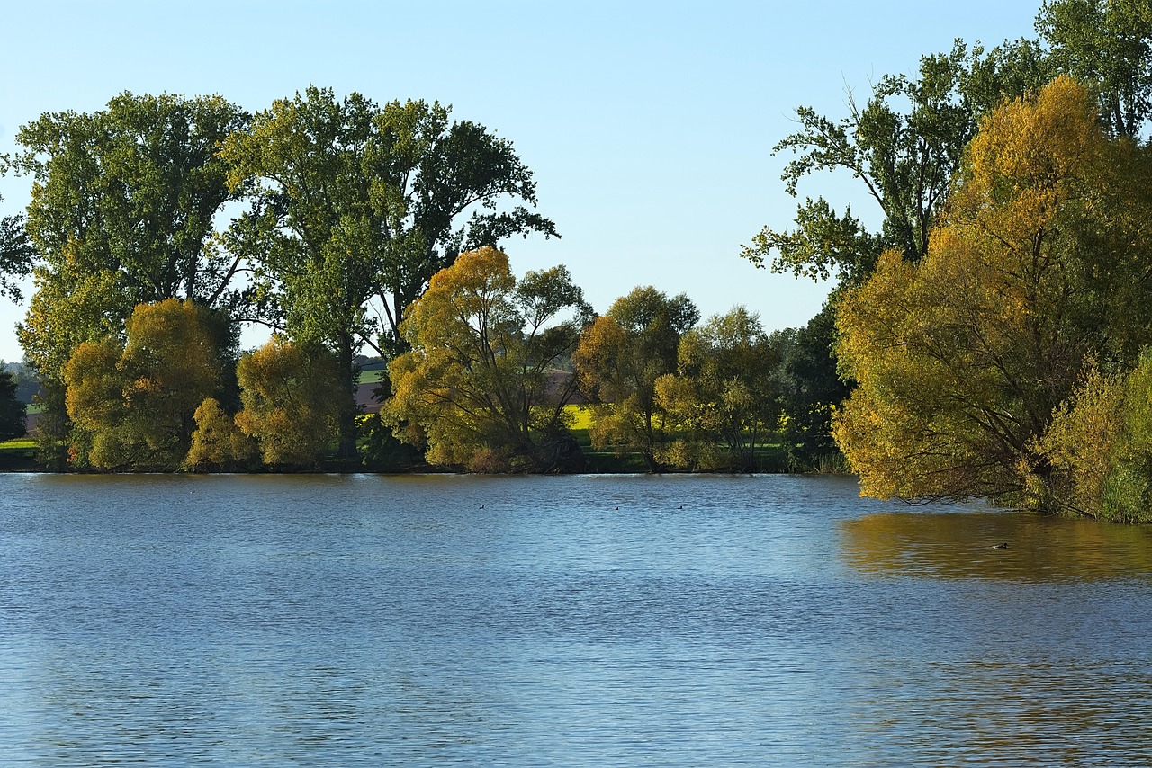 Étang L'Eau Des Arbres - Photo gratuite sur Pixabay - Pixabay