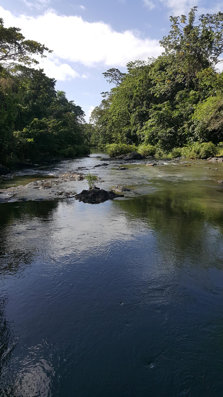 River Nature Landscape - Free photo on Pixabay