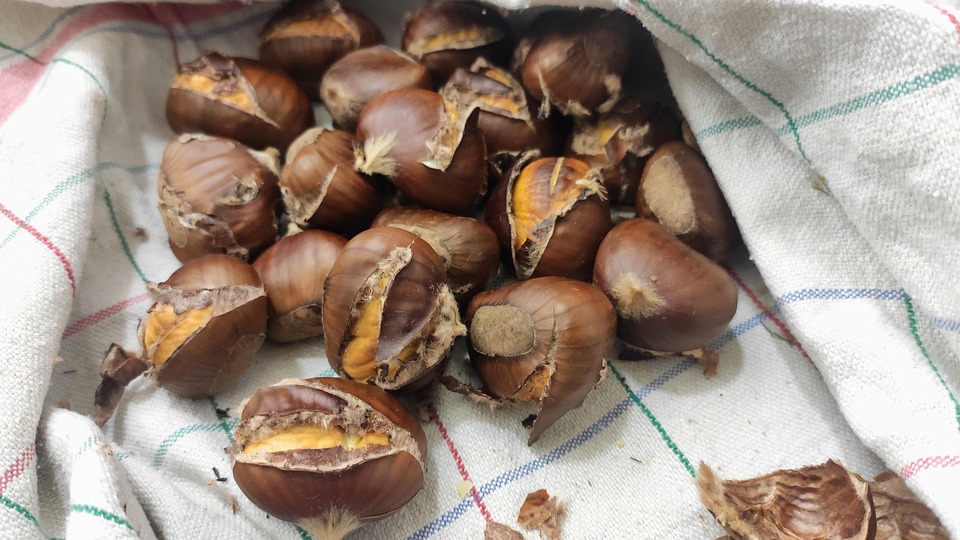 Castanhas Assadas Outono - Foto gratuita no Pixabay - Pixabay