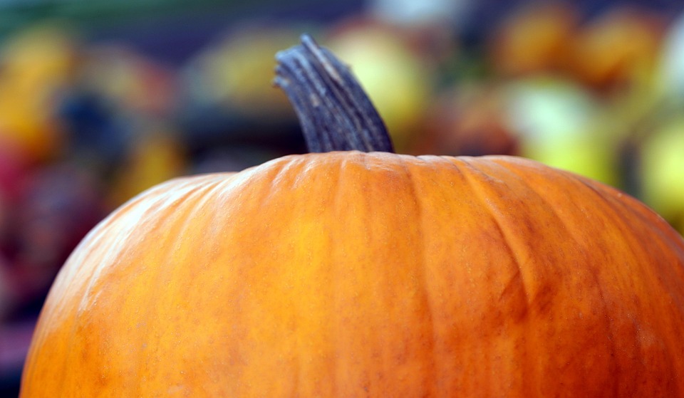 Pumpkin Halloween Fall - Free photo on Pixabay