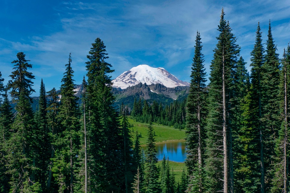 Mt Rainier Chinook Pass Tipsoo - Free photo on Pixabay - Pixabay