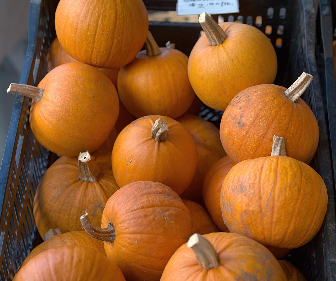 Citrouille Automne Tombe - Photo gratuite sur Pixabay - Pixabay