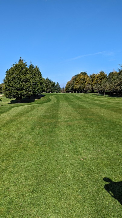 Golf Golfplatz Fairway Blauer - Kostenloses Foto auf Pixabay - Pixabay