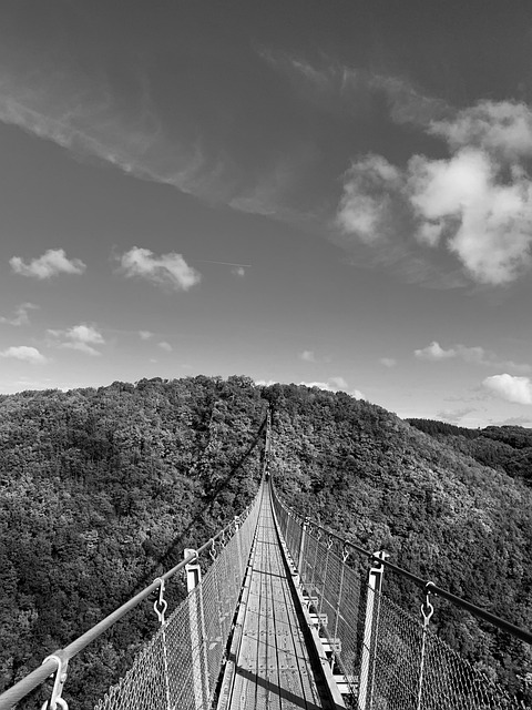 Ponte Floresta Suspensa - Foto gratuita no Pixabay - Pixabay