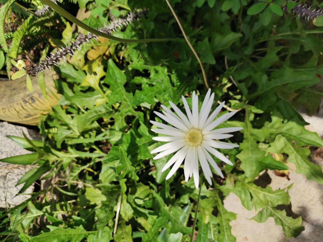 God Creator White - Free photo on Pixabay - Pixabay