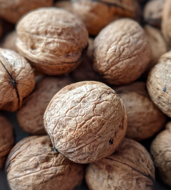 Walnuts Nuts Italian - Free photo on Pixabay