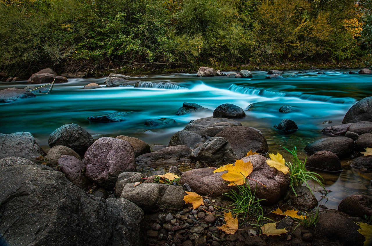 Stream Autumn Forest - Free photo on Pixabay