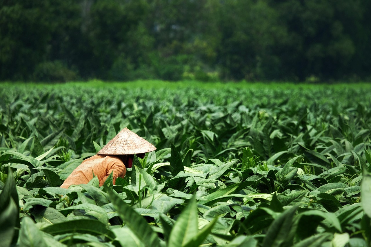 4,000+ Free Farmer & Agriculture Images - Pixabay
