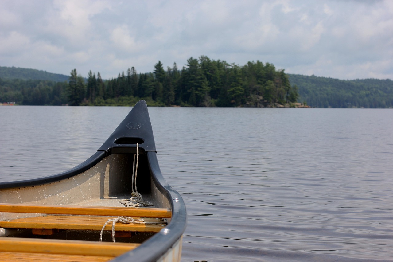 Canoe Trip Trees - Free photo on Pixabay - Pixabay