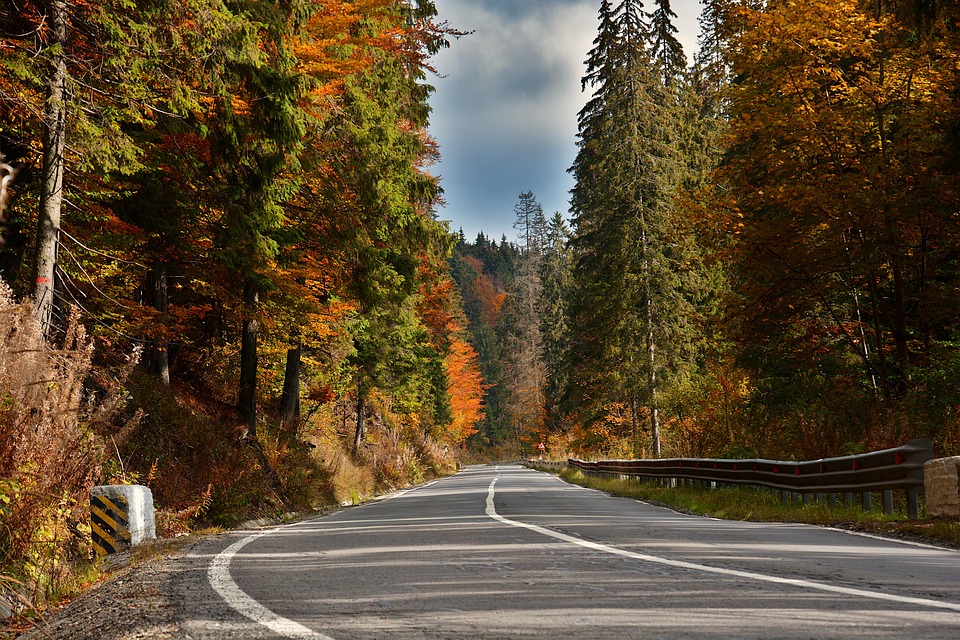 Road Mountain Autumn - Free photo on Pixabay - Pixabay