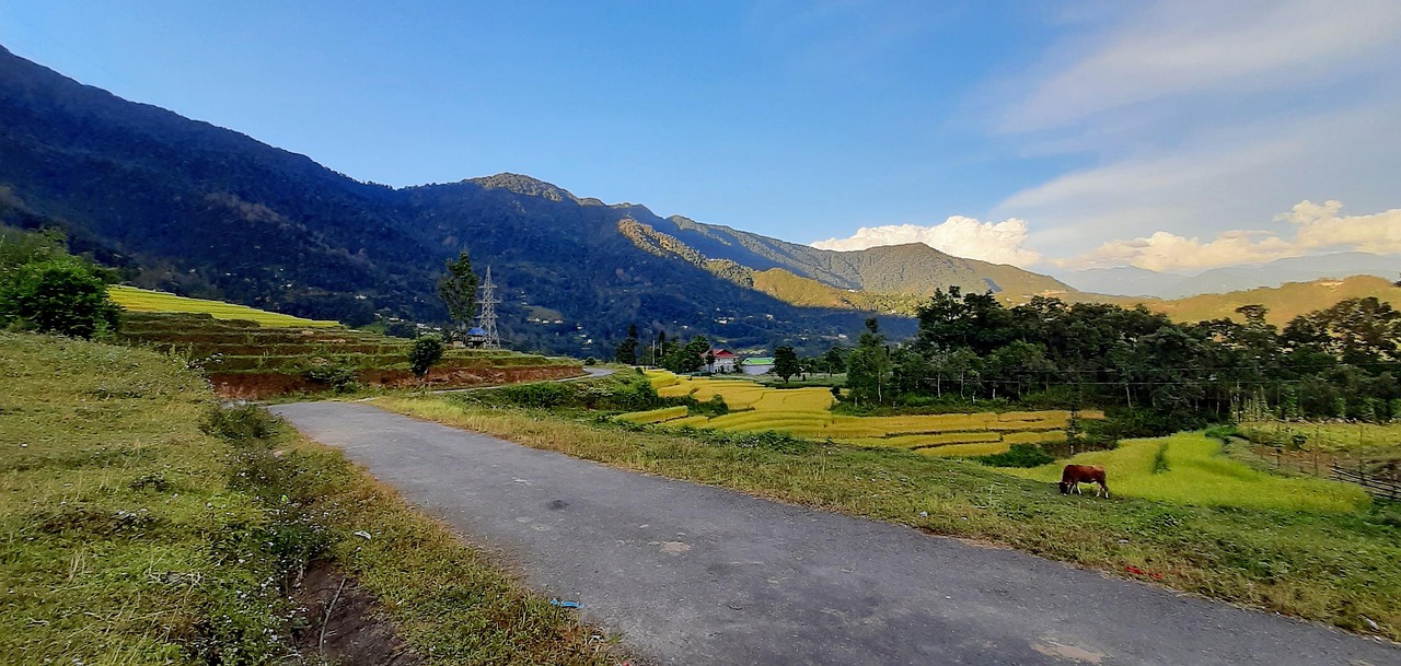 Sikkim Nature Paysage - Photo gratuite sur Pixabay - Pixabay
