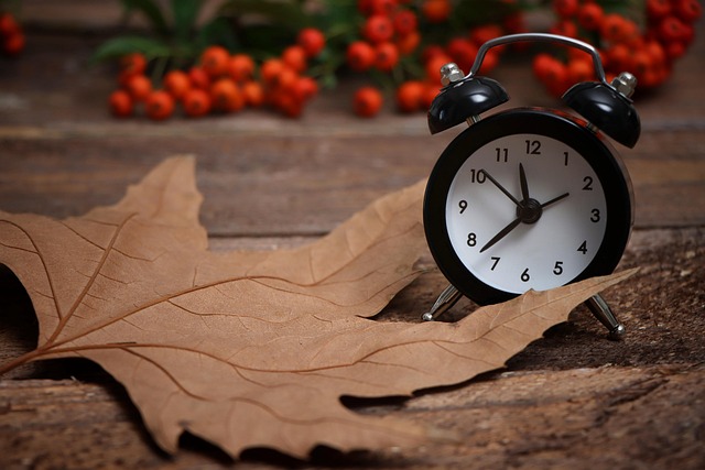 Autumn Leaves Alarm Clock - Free photo on Pixabay