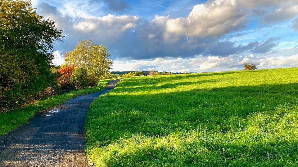 Czech Republic Dirt Road - Free photo on Pixabay