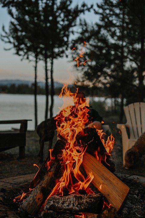 Bonfire Campfire Lake - Free photo on Pixabay