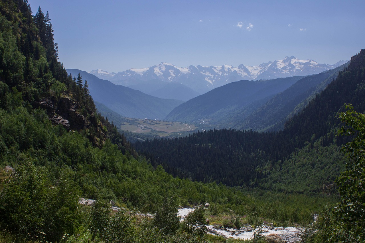 Montañas Bosque Naturaleza - Foto gratis en Pixabay - Pixabay