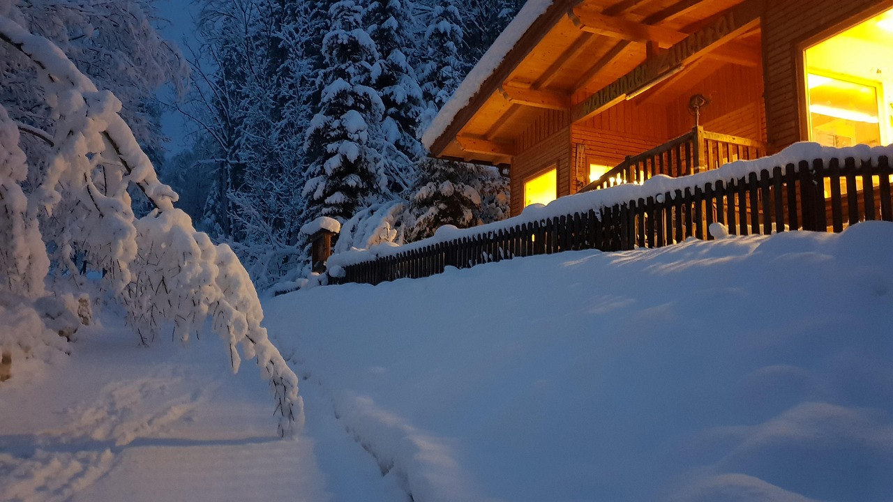Winter Snow Cold - Free photo on Pixabay - Pixabay