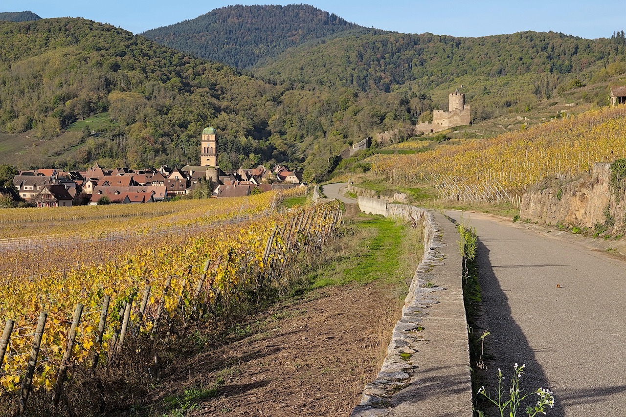 Kaysersberg Fall Vineyard - Free photo on Pixabay
