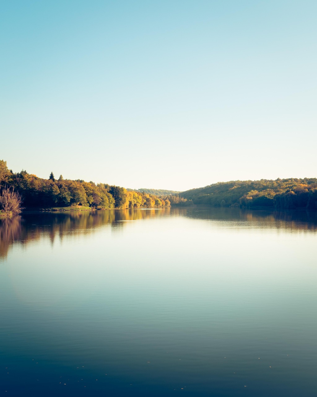 Malomvölgy Lake Fall Fishing - Free photo on Pixabay - Pixabay