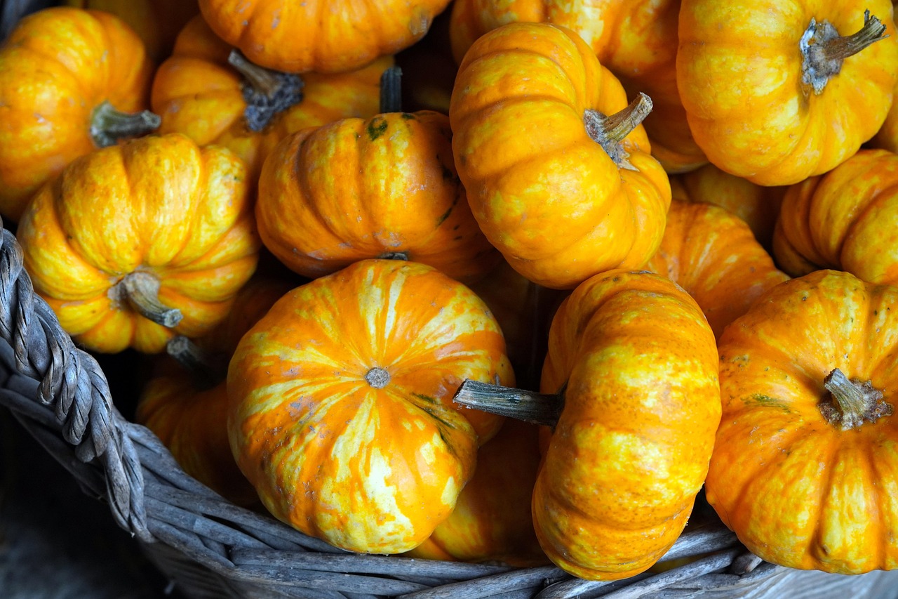 Citrouilles Tombe Des Légumes - Photo gratuite sur Pixabay - Pixabay