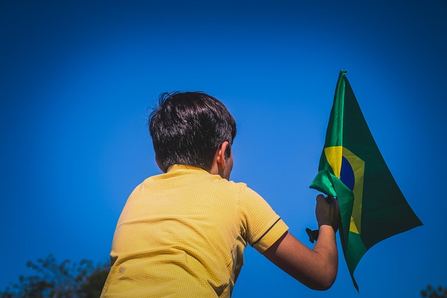 Brasil Futebol Esporte - Foto gratuita no Pixabay - Pixabay