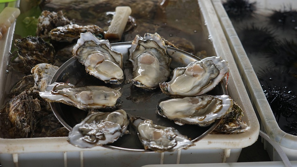 Oysters Mollusc Seafood - Free photo on Pixabay