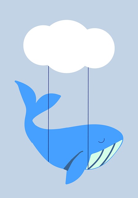 Más de 20 000 imágenes gratis de Ballena Animada y Ballena - Pixabay