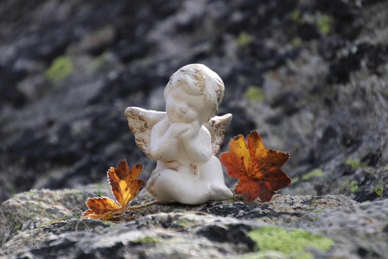 50+ Free Everything & Nature Images - Pixabay