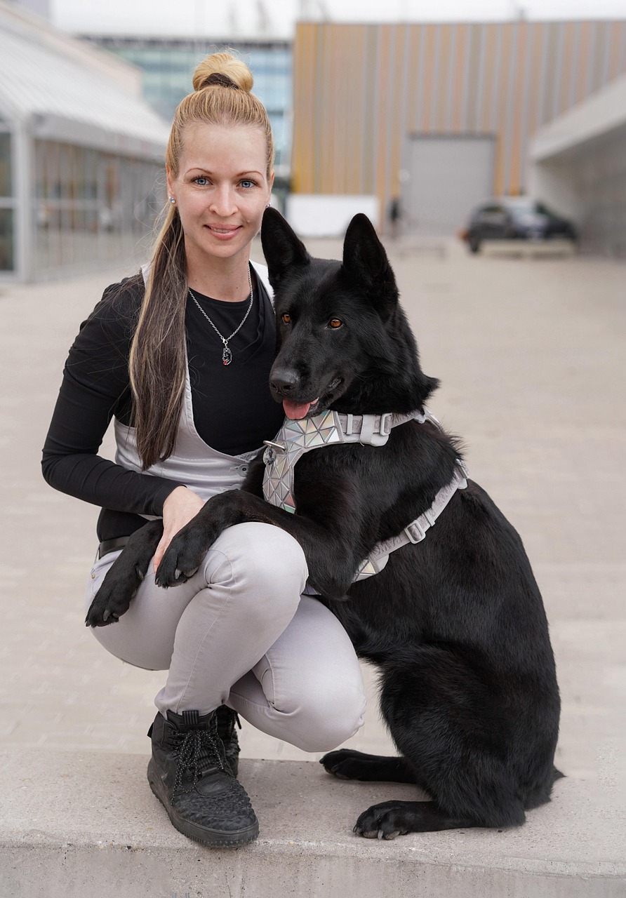 德国牧羊犬 狗 女士 - Pixabay上的免费照片 - Pixabay