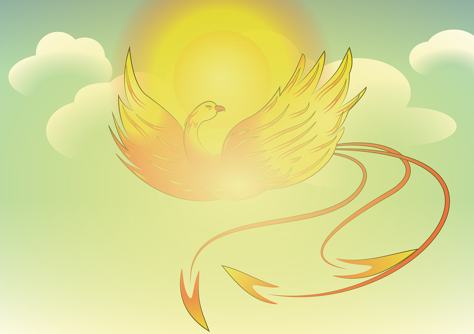 Download Bird, Flame, Fire. Royalty-Free Vector Graphic - Pixabay