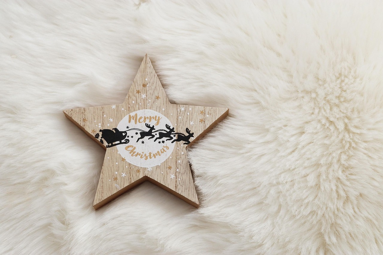 Star Christmas Fur - Free photo on Pixabay - Pixabay