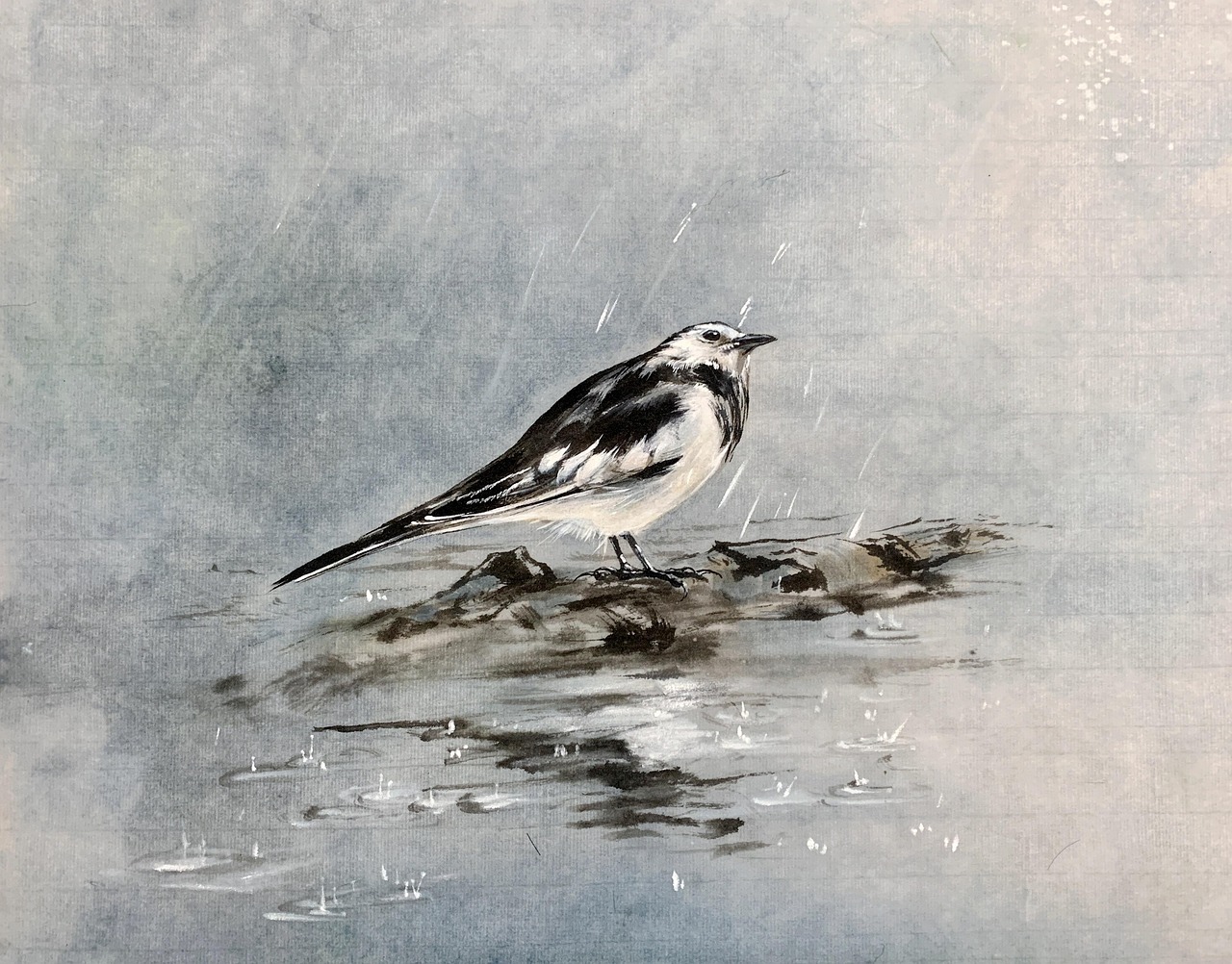 200,000+ Free Bird Painting & Painting Images - Pixabay