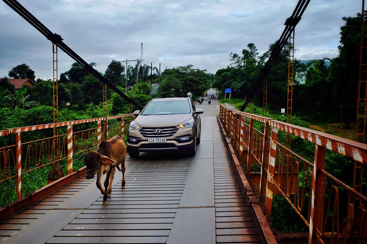Street Cow Iron Bridge - Free photo on Pixabay - Pixabay